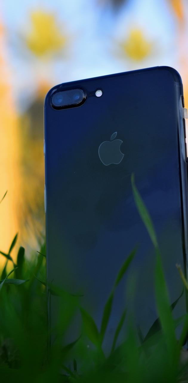 iPhone7 4K Wallpapers - Top Free iPhone7 4K Backgrounds - WallpaperAccess