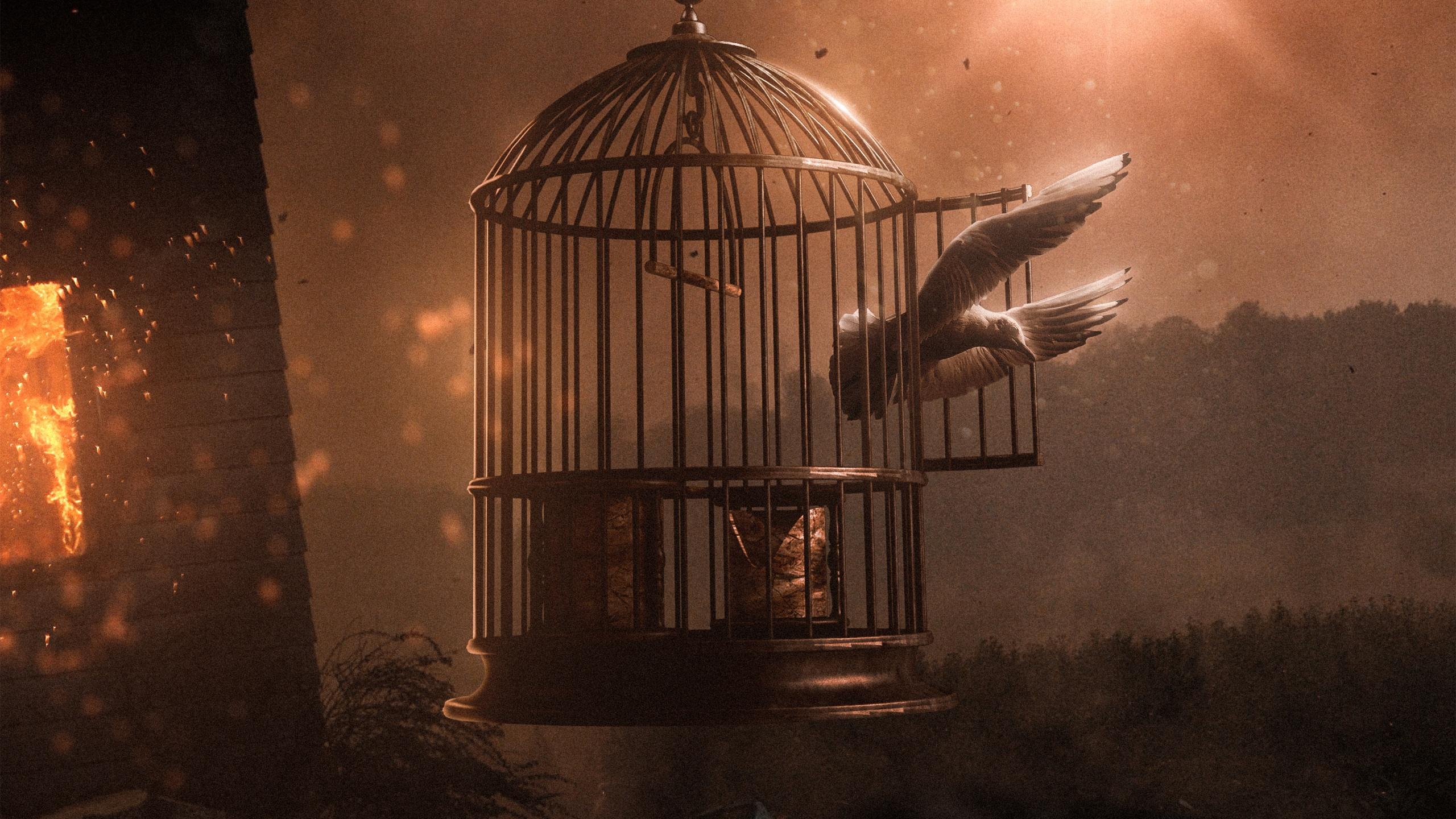 Animal Cage Wallpapers - Top Free Animal Cage Backgrounds - WallpaperAccess