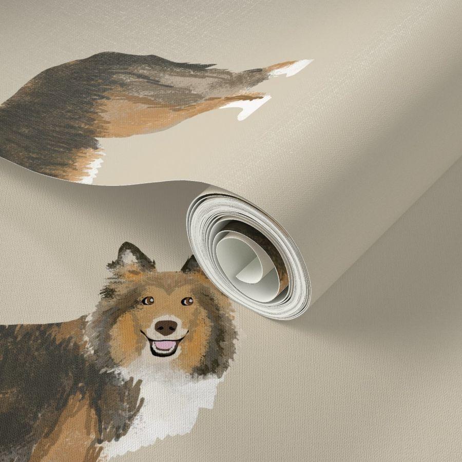 Sheltie Wallpapers - Top Free Sheltie Backgrounds - WallpaperAccess