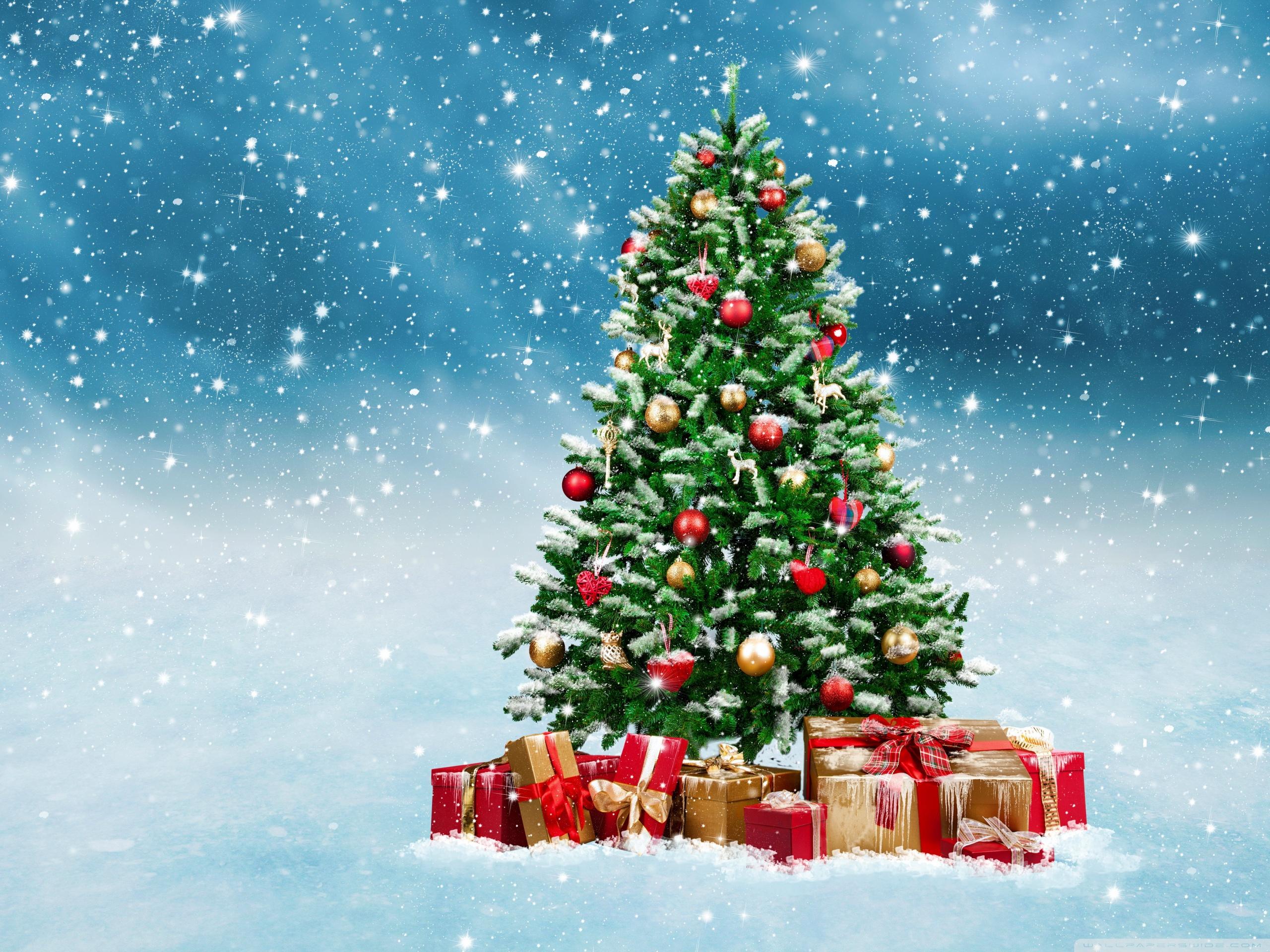 Christmas Tress Wallpapers - Top Free Christmas Tress Backgrounds ...