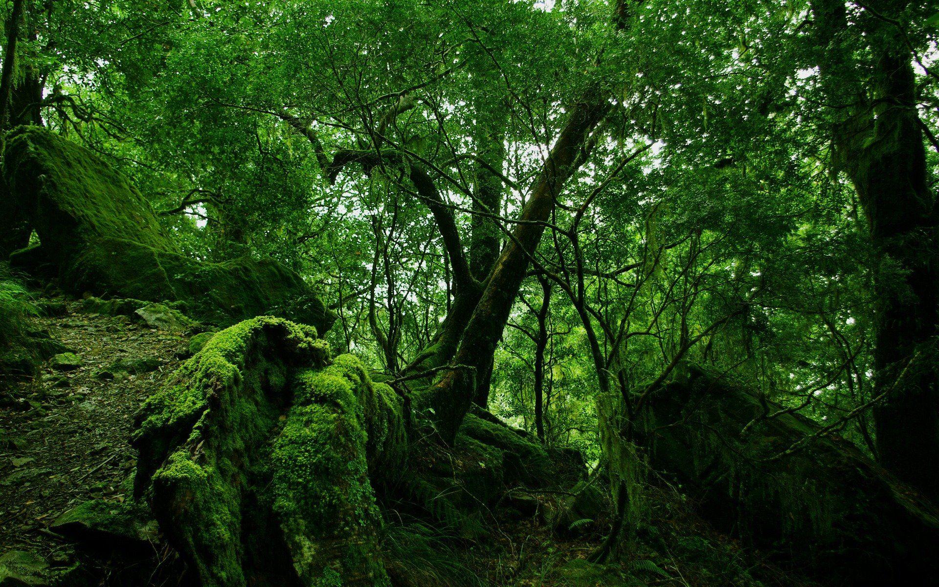 The Shire Wallpapers - Top Free The Shire Backgrounds - WallpaperAccess