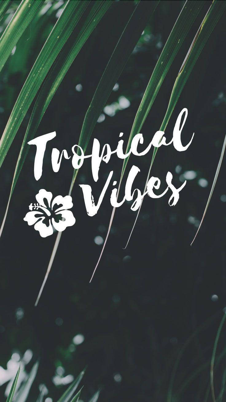 Vibes Wallpapers - Top Free Vibes Backgrounds - WallpaperAccess