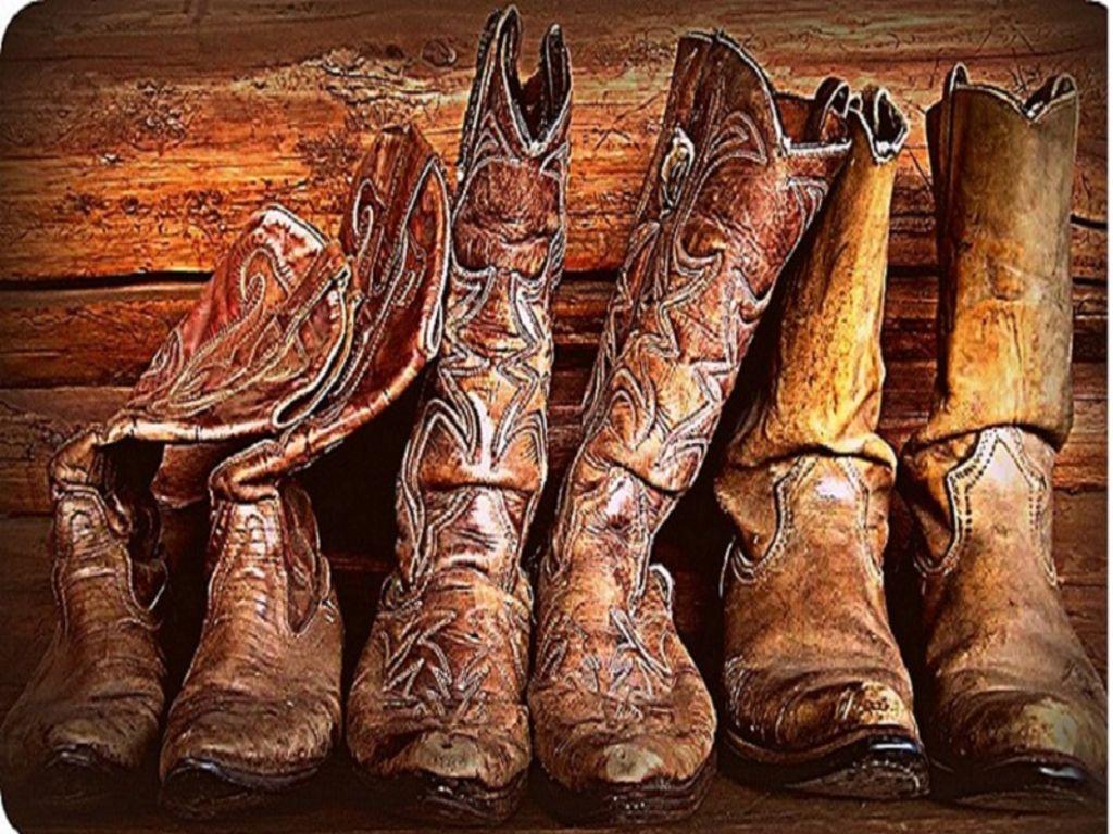Ariat Wallpapers - Top Free Ariat Backgrounds - WallpaperAccess