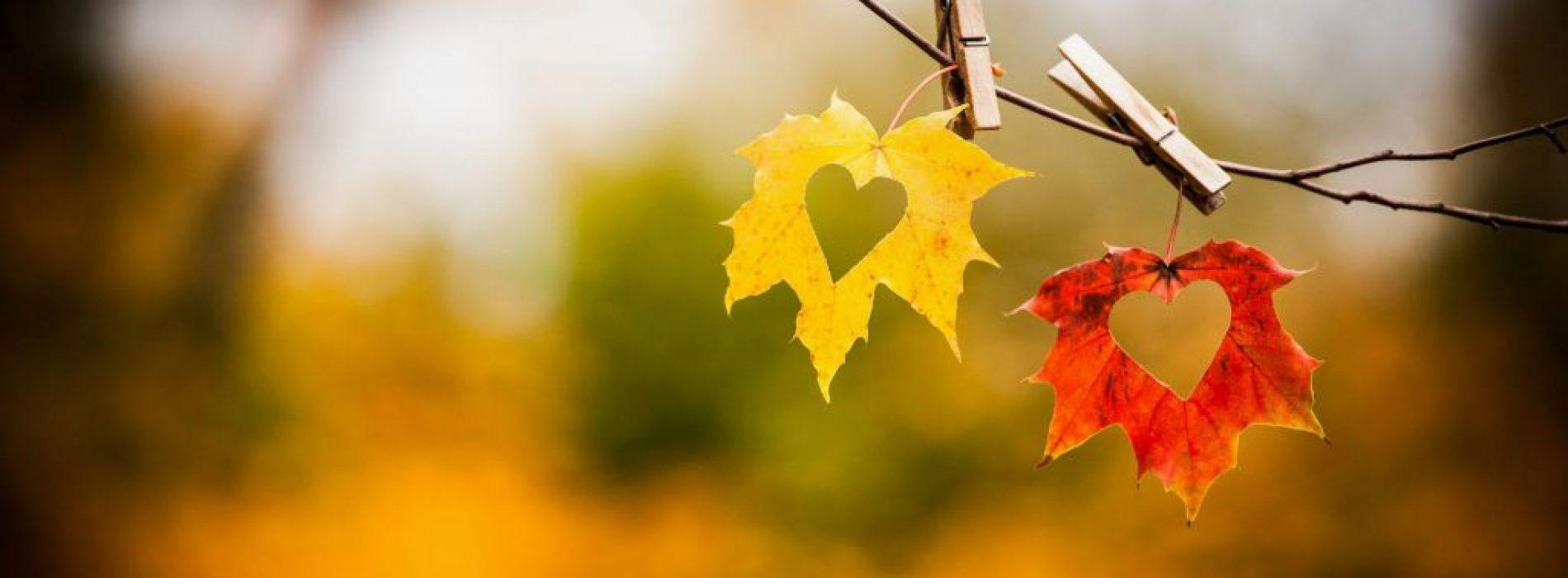 Fall Heart Wallpapers - Top Free Fall Heart Backgrounds - WallpaperAccess