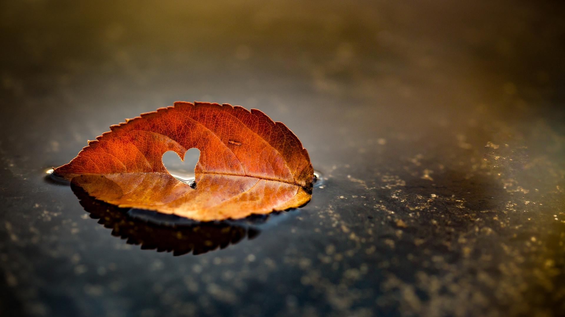 Fall Heart Wallpapers - Top Free Fall Heart Backgrounds - WallpaperAccess