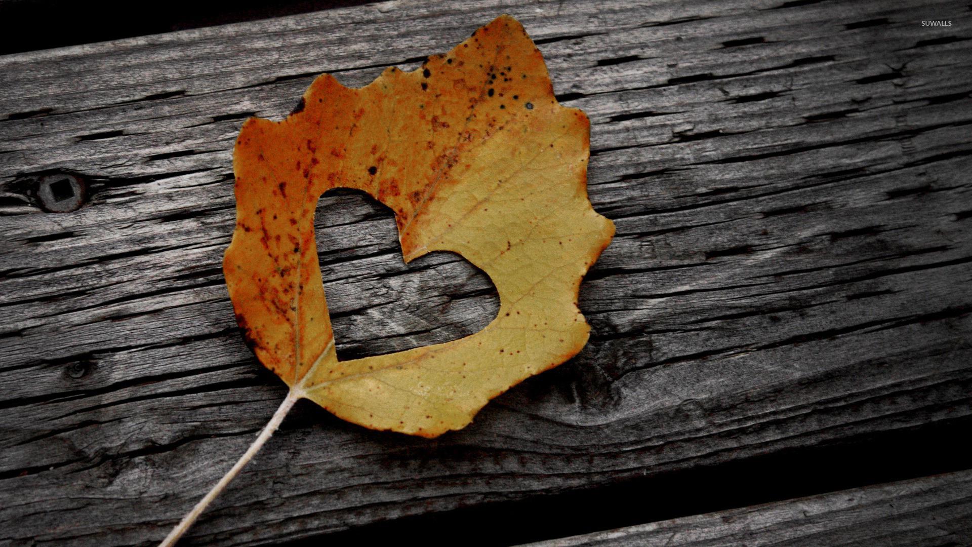 Fall Heart Wallpapers - Top Free Fall Heart Backgrounds - WallpaperAccess