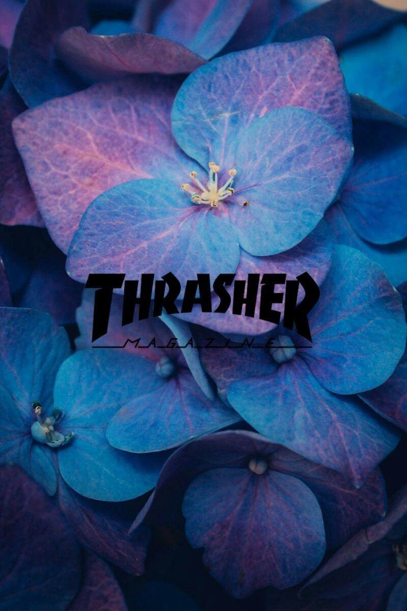 Purple Thrasher Wallpapers - Top Free Purple Thrasher Backgrounds ...