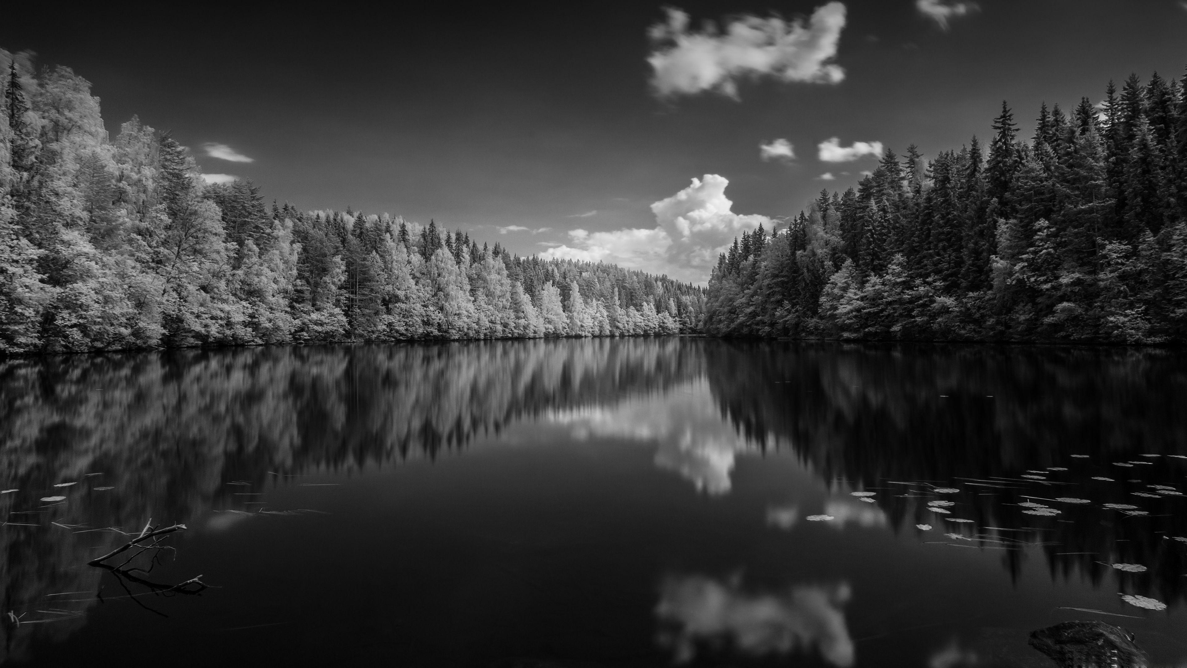 8K Black and White Wallpapers - Top Free 8K Black and White Backgrounds ...