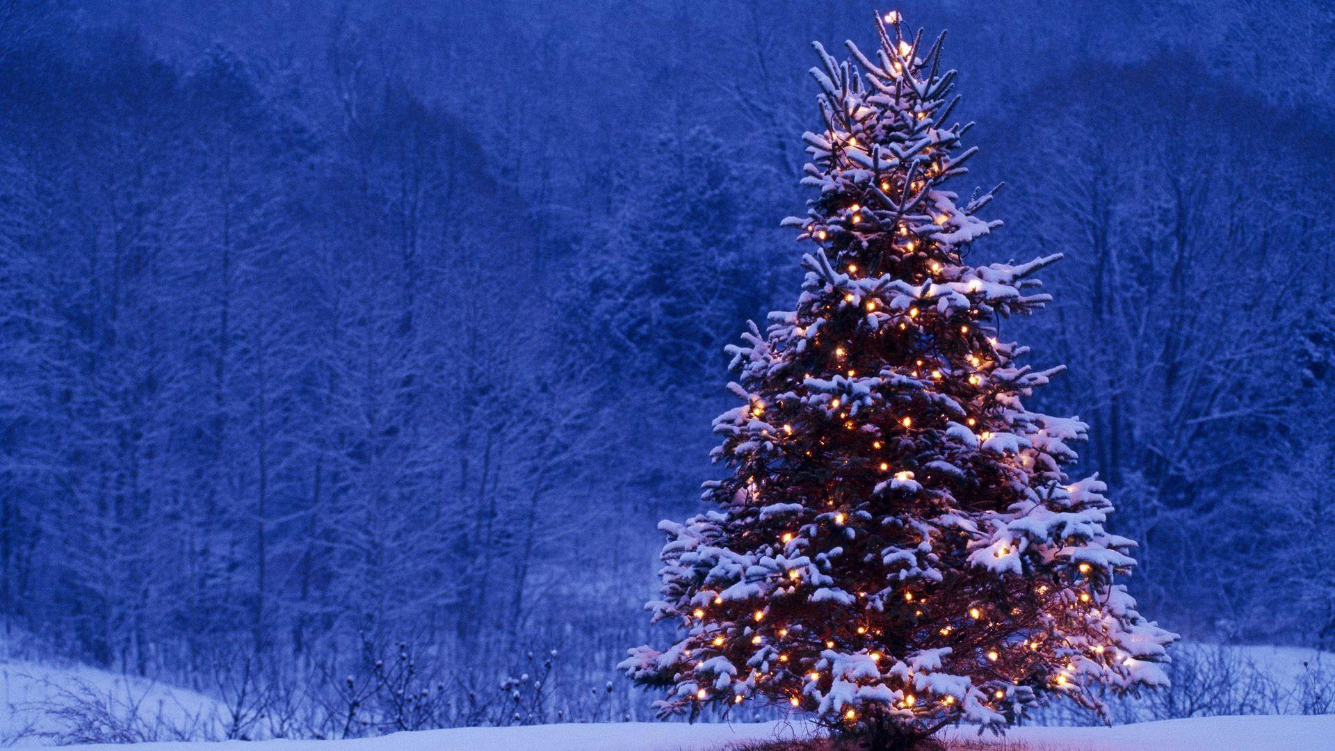 Christmas Outside Wallpapers - Top Free Christmas Outside Backgrounds ...