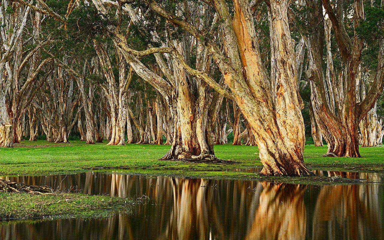 Australia Scenery Wallpapers - Top Free Australia Scenery Backgrounds ...