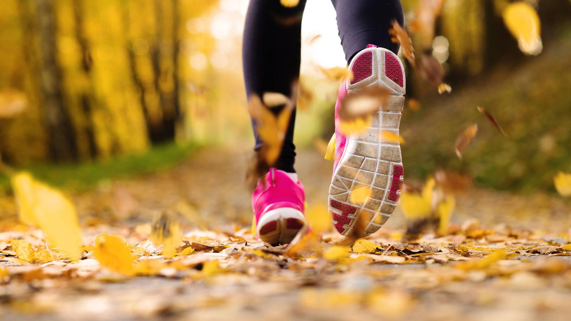 Fall Running Wallpapers - Top Free Fall Running Backgrounds ...