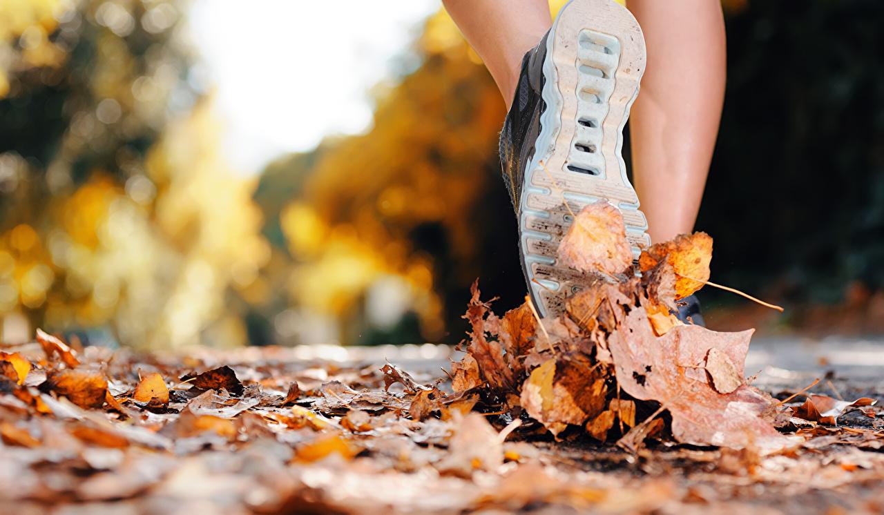 Fall Running Wallpapers - Top Free Fall Running Backgrounds ...