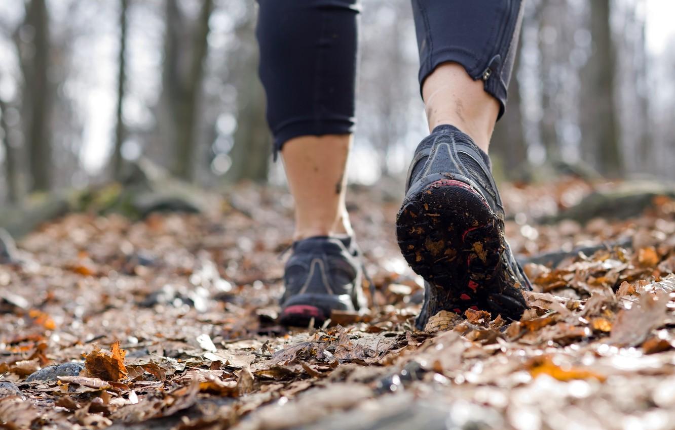 Fall Running Wallpapers - Top Free Fall Running Backgrounds ...