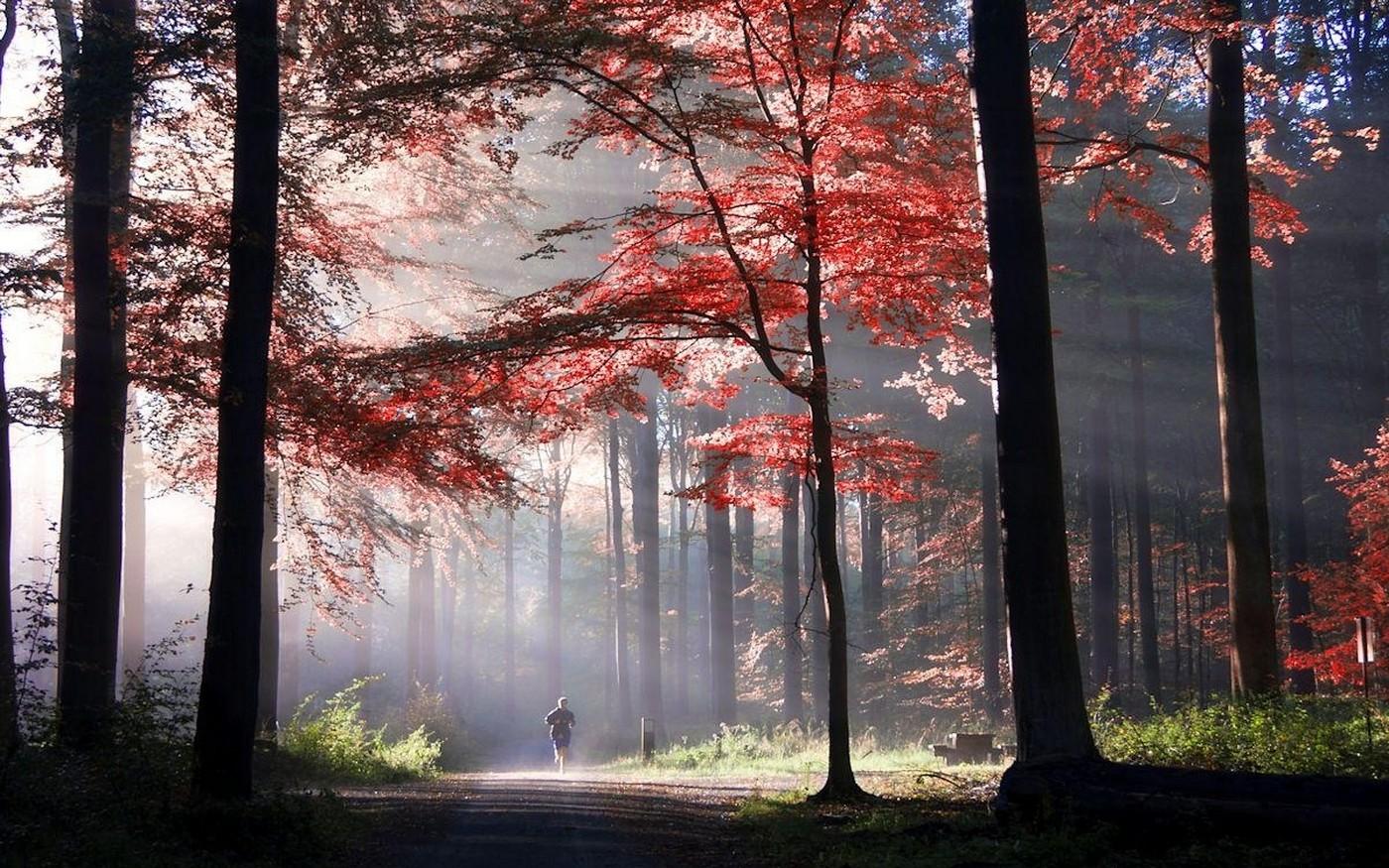 Fall Running Wallpapers - Top Free Fall Running Backgrounds ...