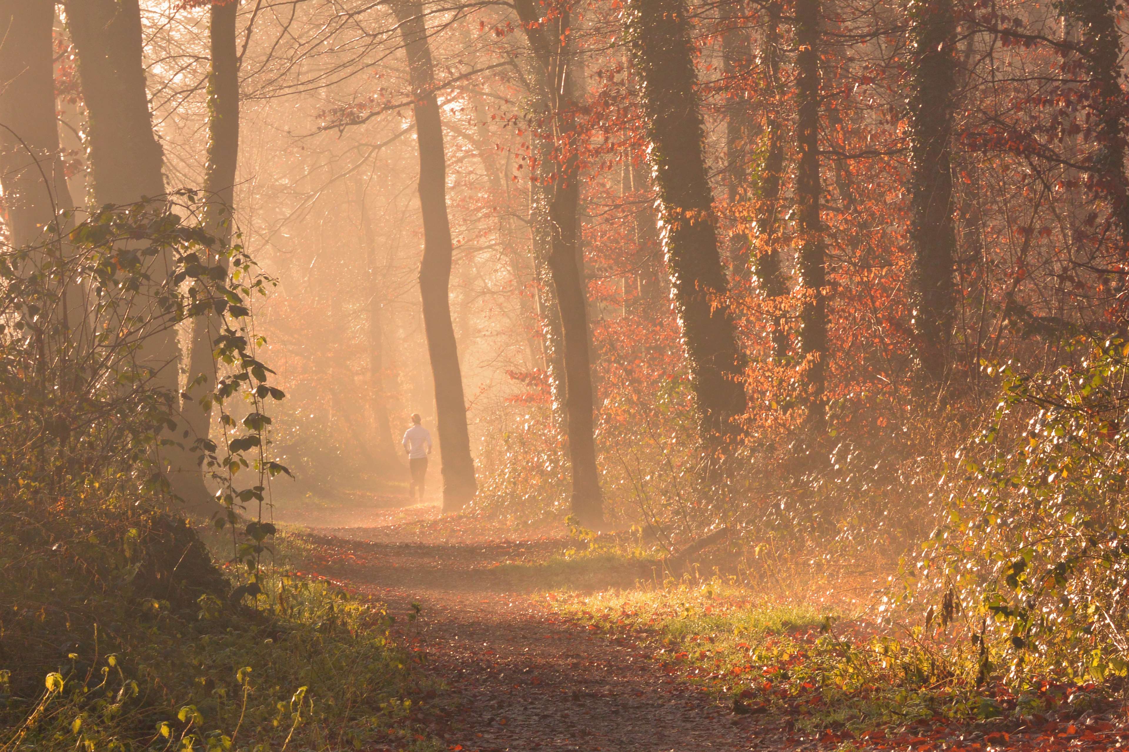 Fall Running Wallpapers - Top Free Fall Running Backgrounds ...
