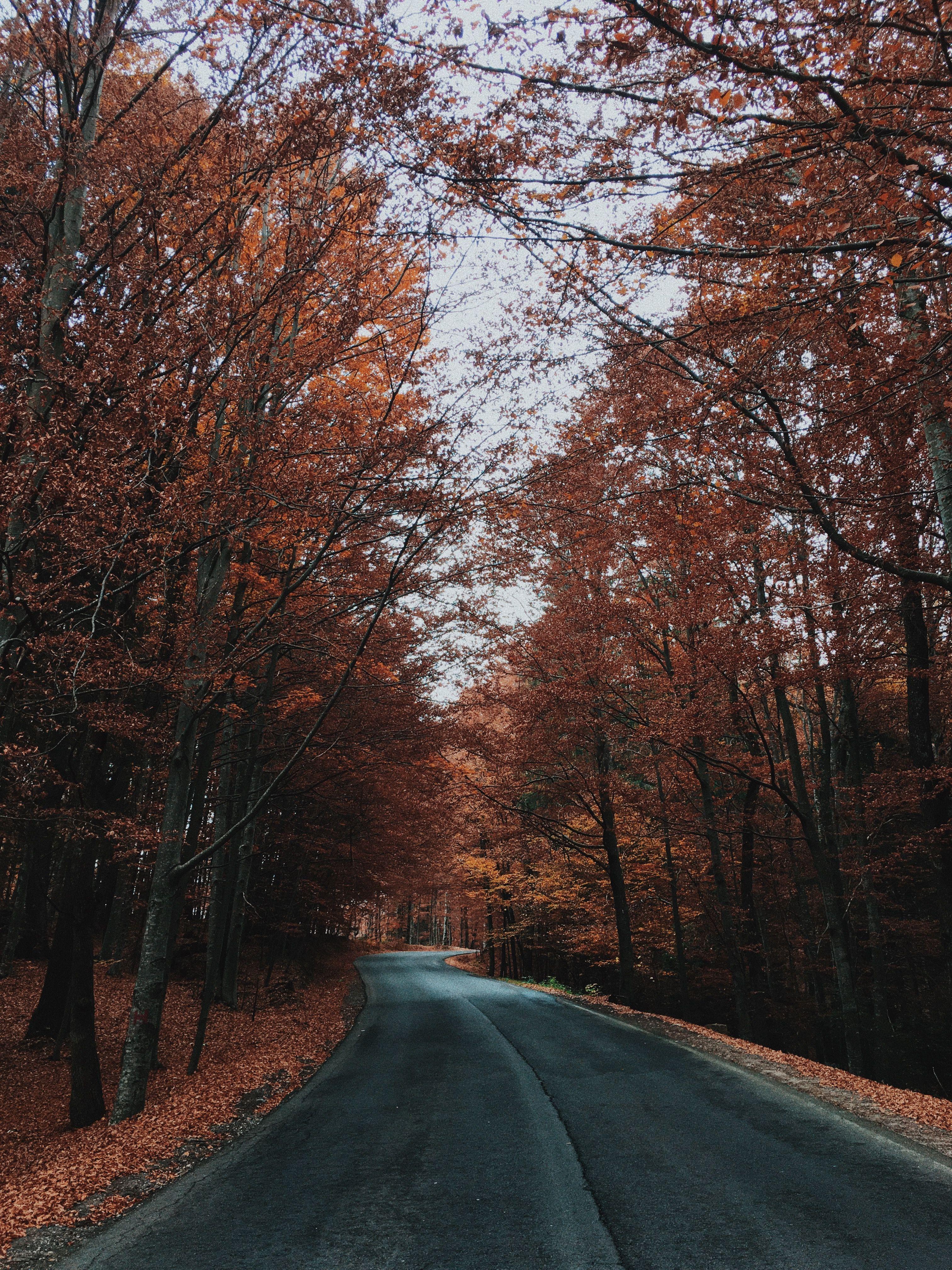 Fall Running Wallpapers - Top Free Fall Running Backgrounds ...