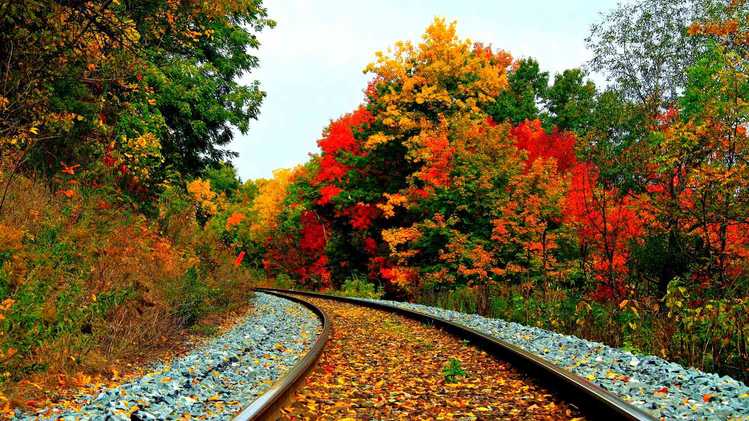 Fall Running Wallpapers - Top Free Fall Running Backgrounds ...