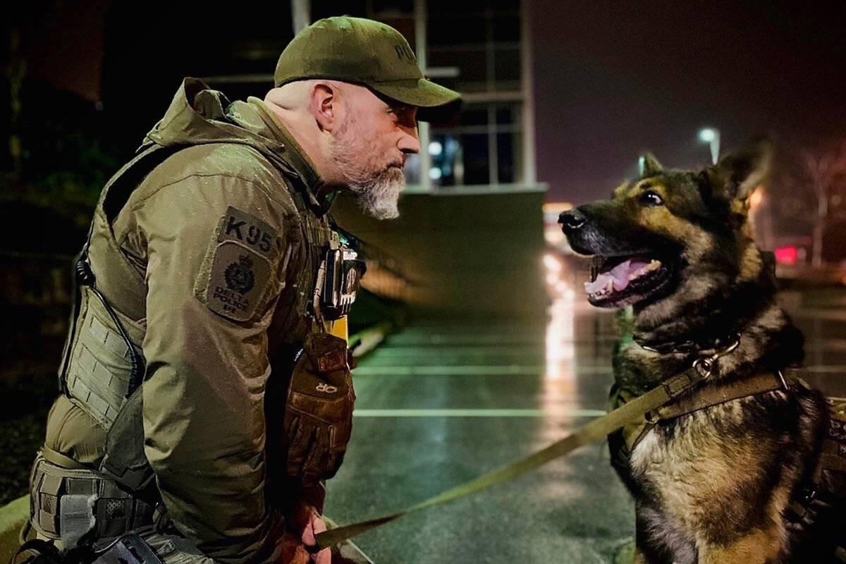 Police Dog Wallpapers - Top Free Police Dog Backgrounds - WallpaperAccess