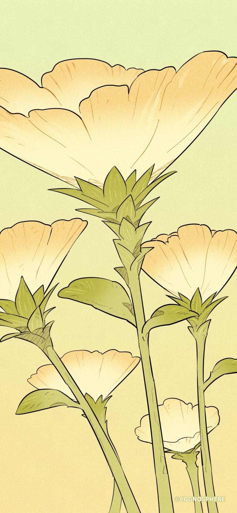 Sumeru Wallpapers - Top Free Sumeru Backgrounds - WallpaperAccess