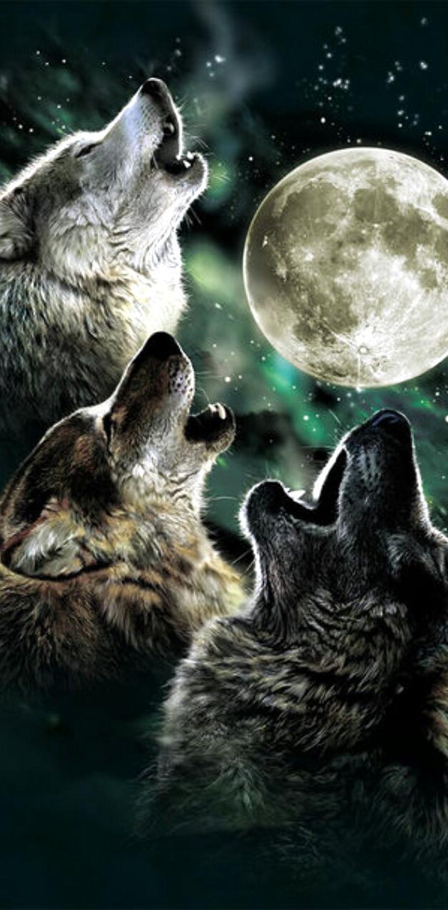 Wolfpack Wallpapers - Top Free Wolfpack Backgrounds - WallpaperAccess