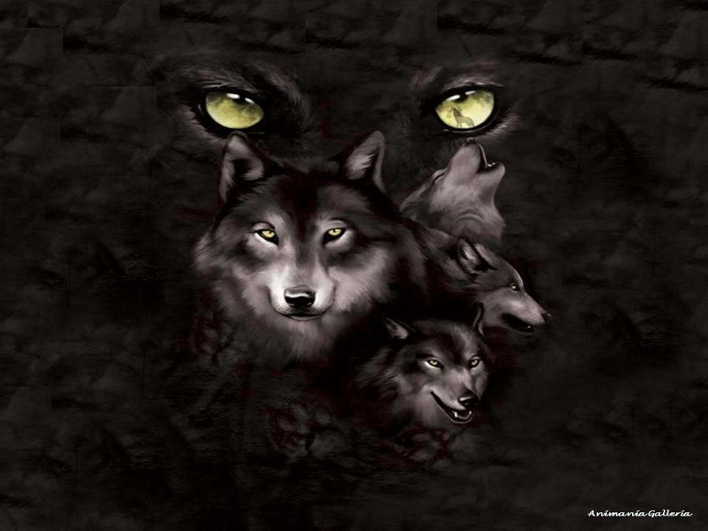 Wolfpack Wallpapers - Top Free Wolfpack Backgrounds - WallpaperAccess