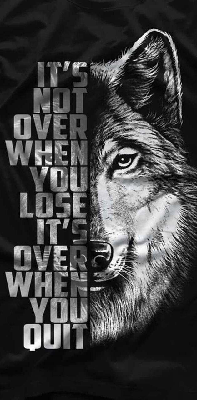 Wolfpack Wallpapers - Top Free Wolfpack Backgrounds - WallpaperAccess