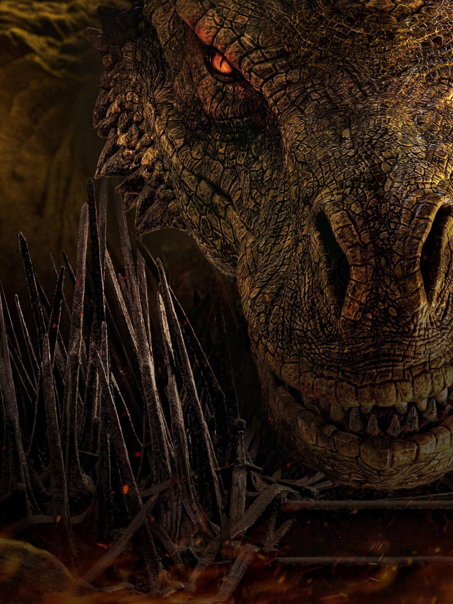 Balerion Wallpapers - Top Free Balerion Backgrounds - WallpaperAccess