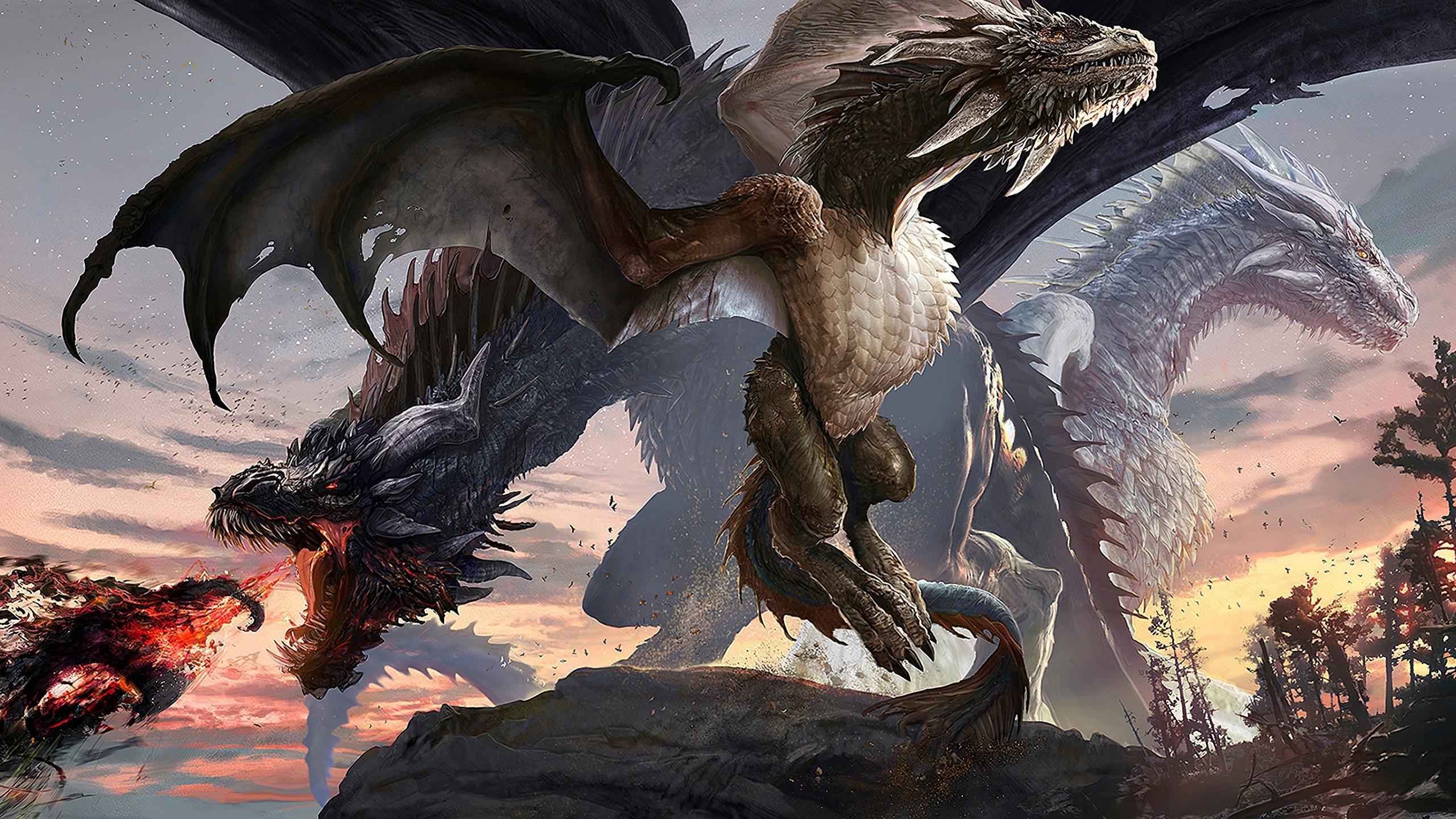 Balerion Wallpapers - Top Free Balerion Backgrounds - WallpaperAccess