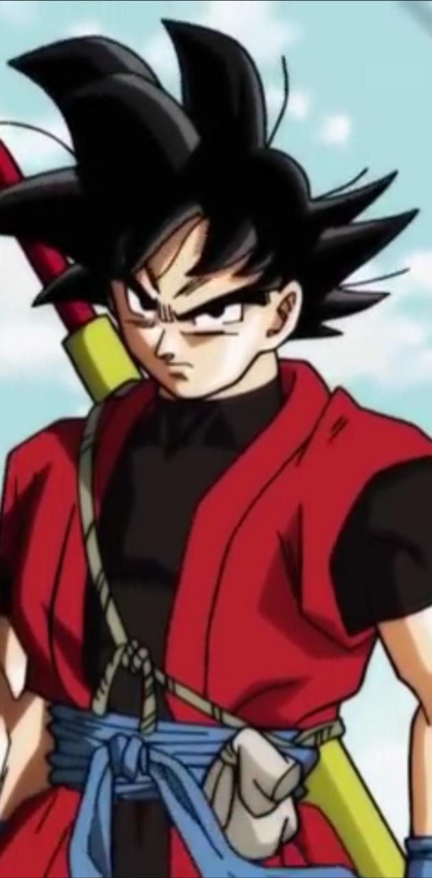 Xeno Goku Wallpapers - Top Free Xeno Goku Backgrounds - WallpaperAccess