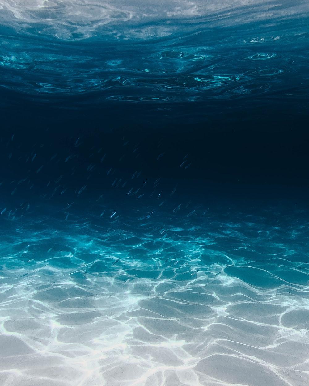 Real Ocean Wallpapers - Top Free Real Ocean Backgrounds - WallpaperAccess