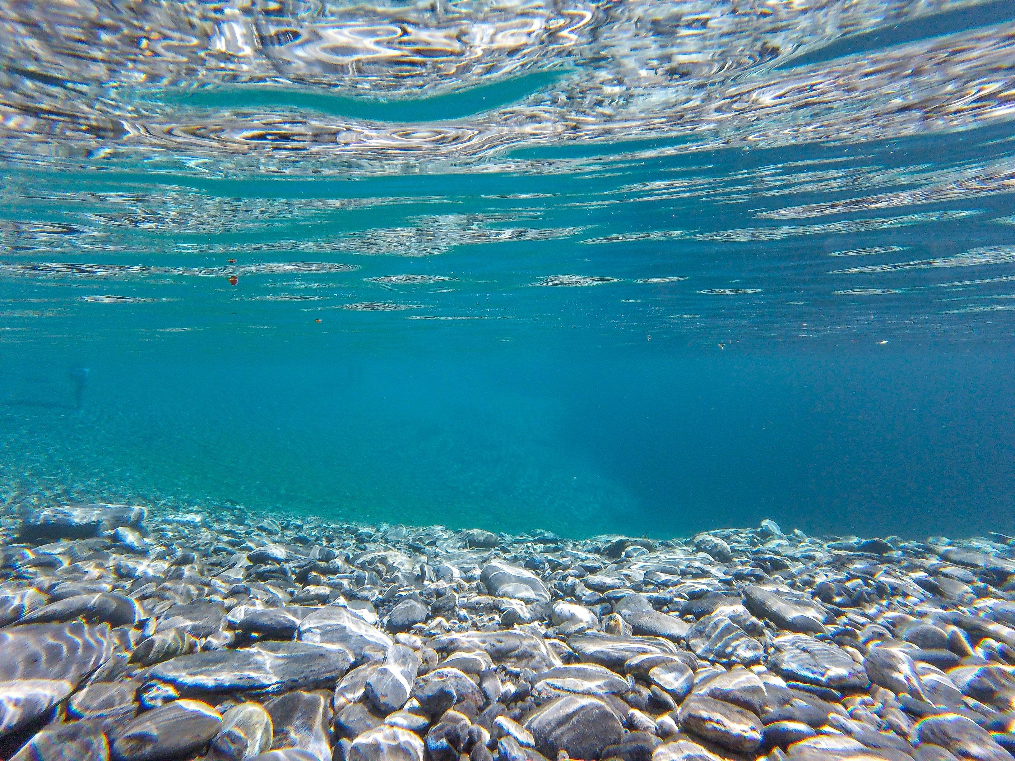 Under the Ocean Wallpapers - Top Free Under the Ocean Backgrounds ...
