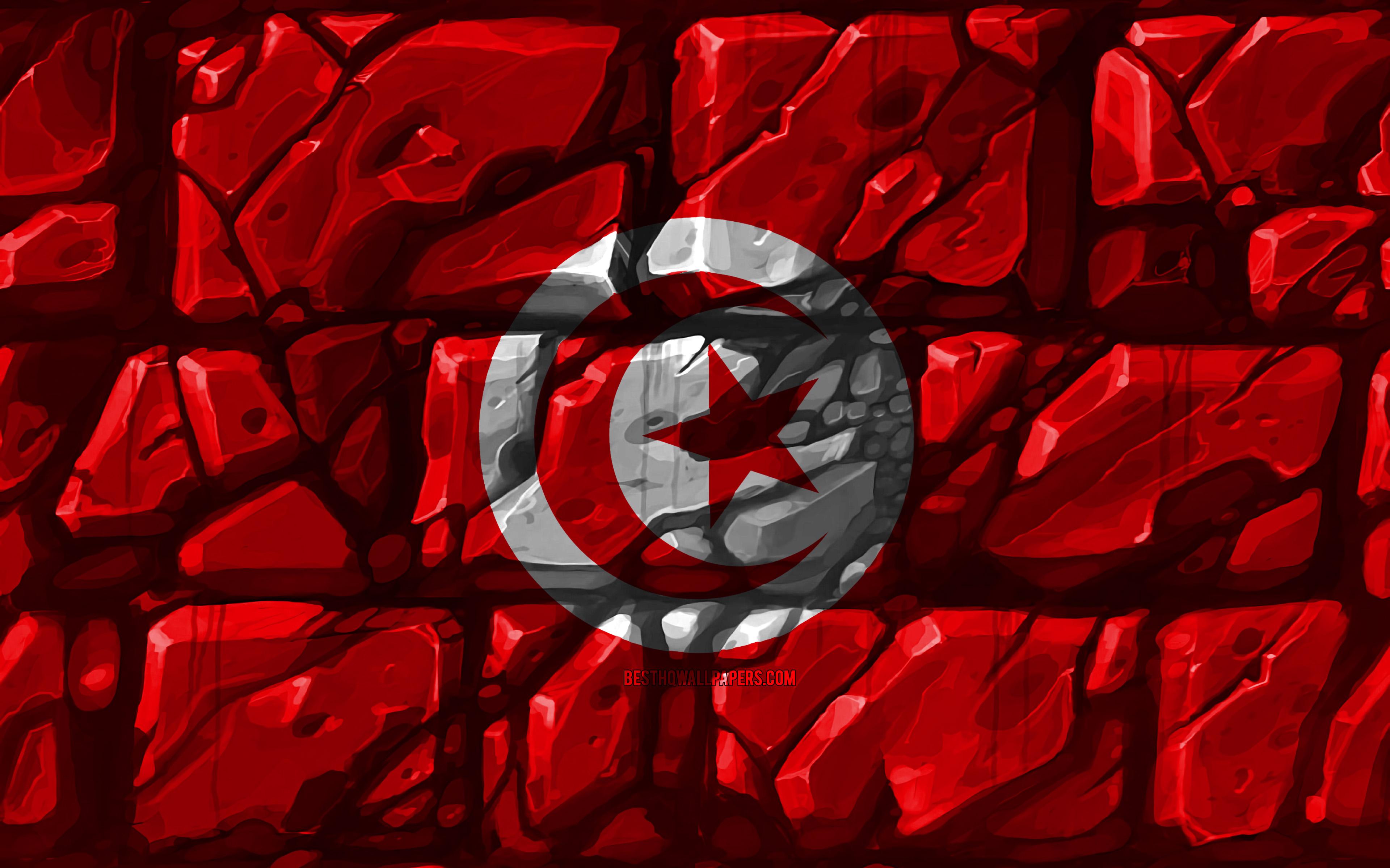 Tunisia Flag Wallpapers - Top Free Tunisia Flag Backgrounds ...