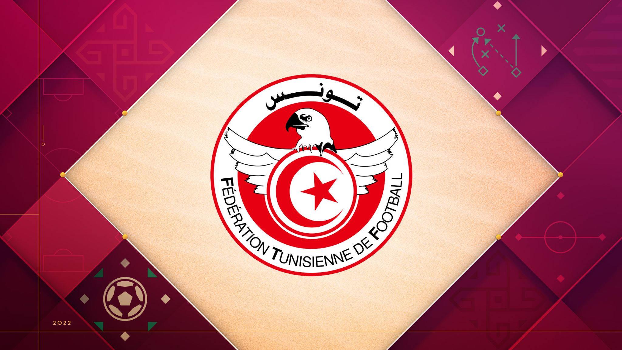Tunisia Flag Wallpapers - Top Free Tunisia Flag Backgrounds - WallpaperAccess