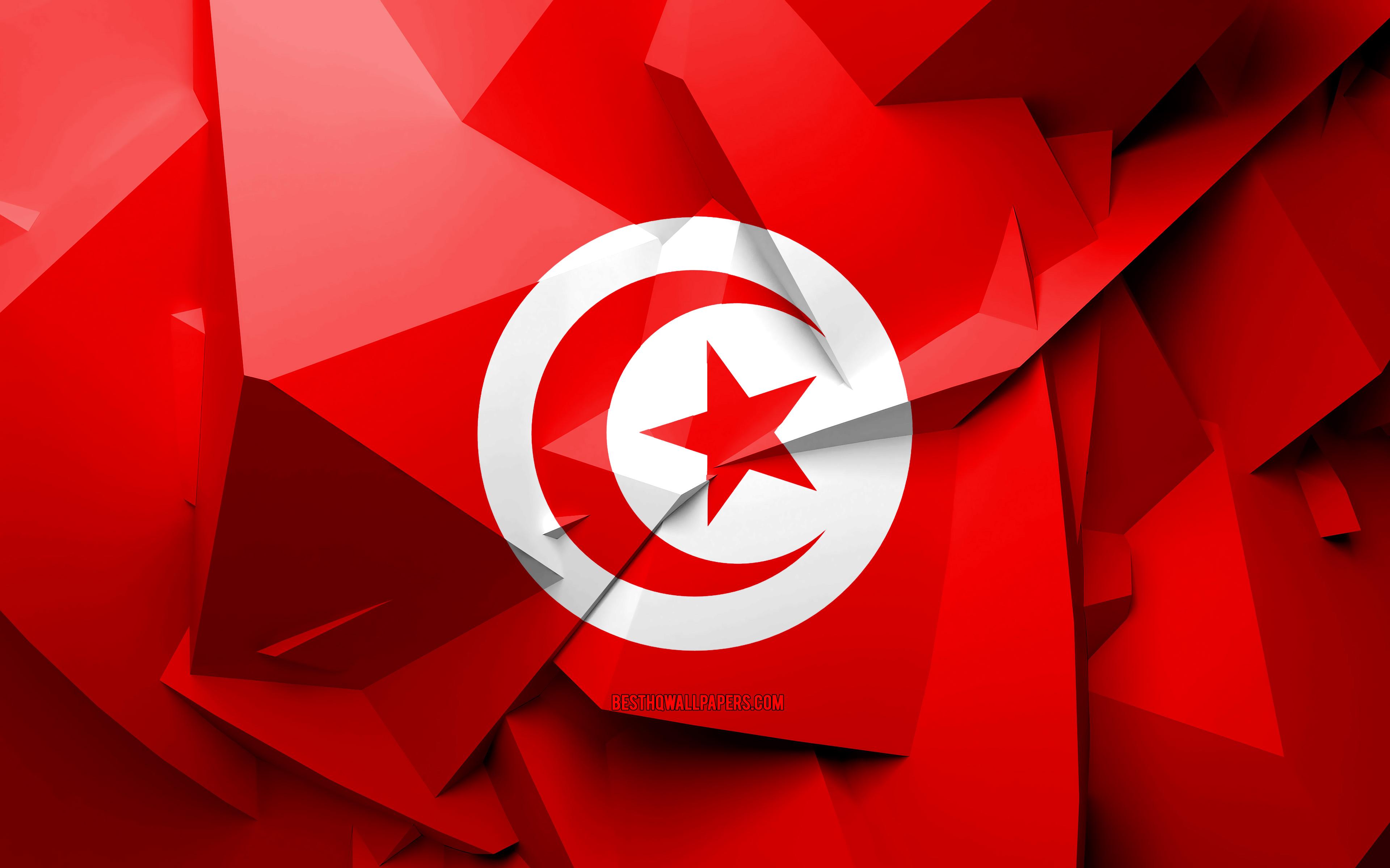 Tunisia Flag Wallpapers - Top Free Tunisia Flag Backgrounds ...