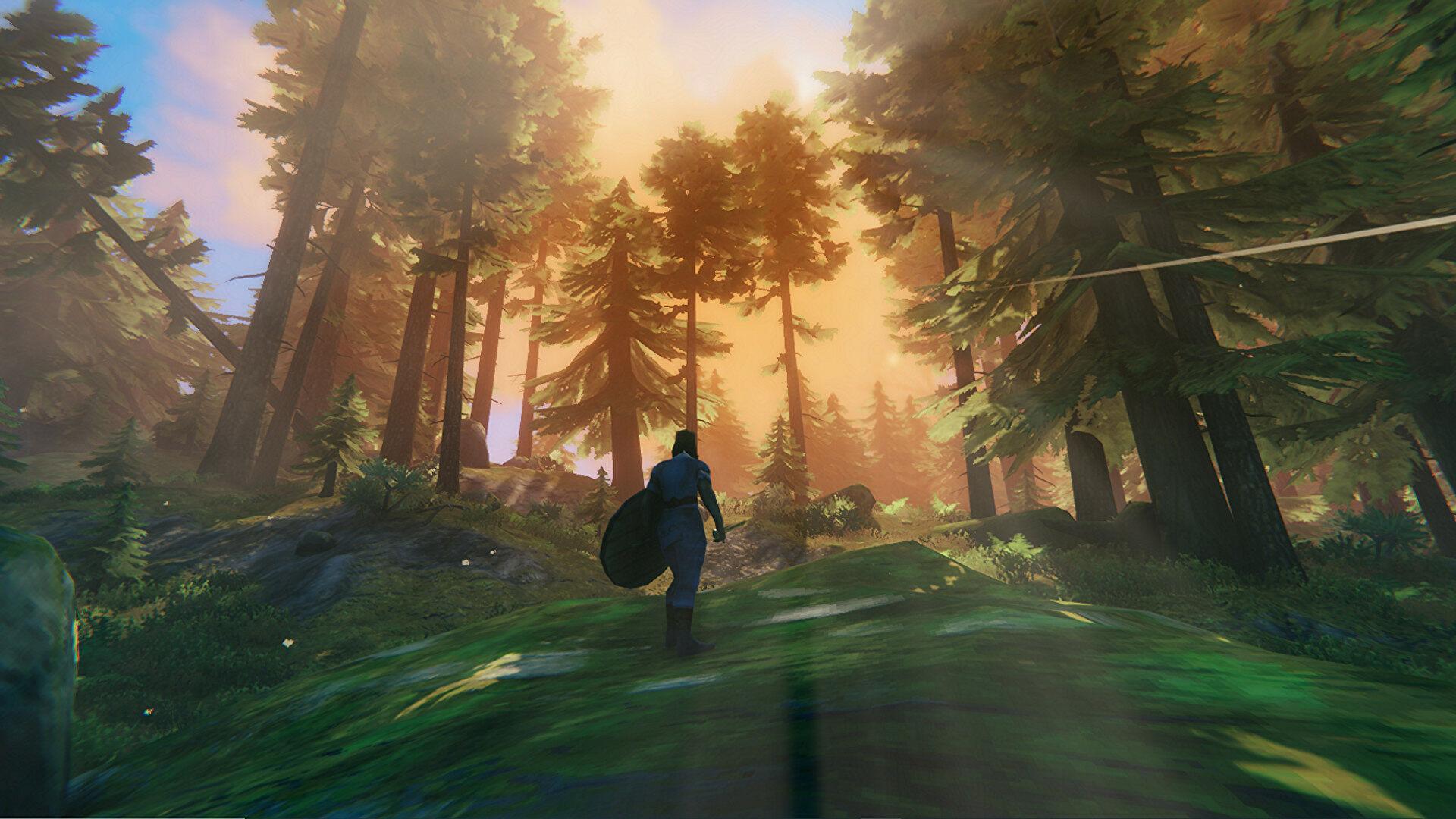 Valheim Wallpapers - Top Free Valheim Backgrounds - WallpaperAccess
