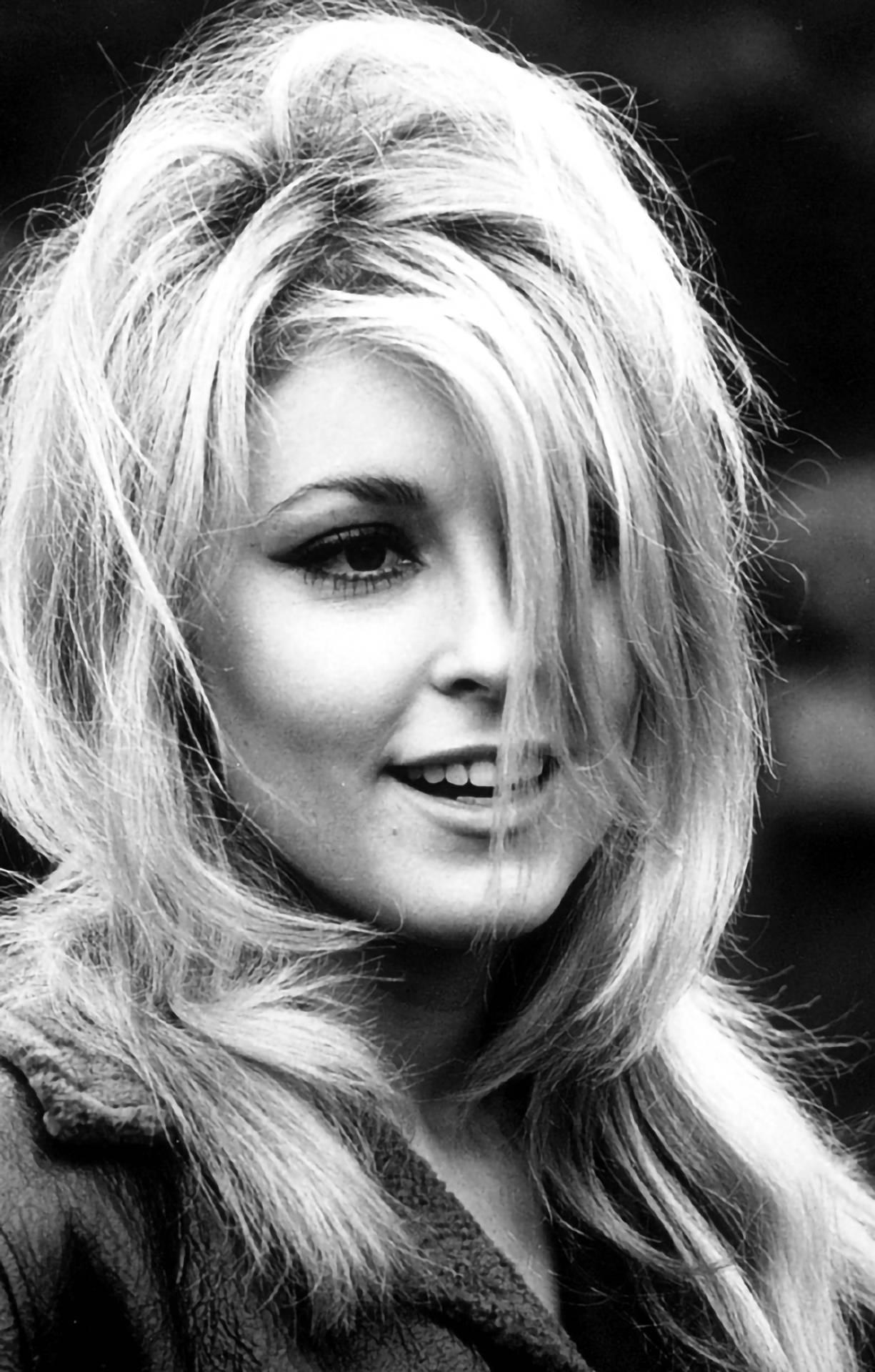 Sharon Tate Wallpapers - Top Free Sharon Tate Backgrounds - WallpaperAccess