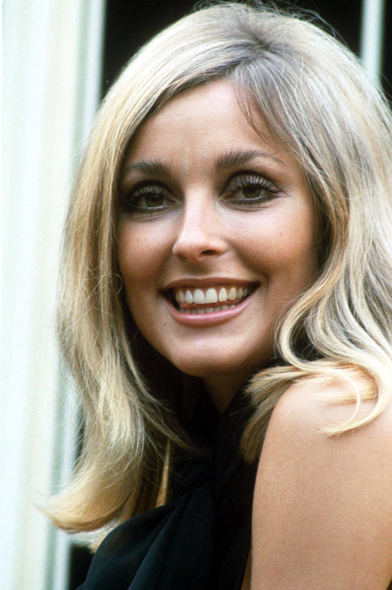 Sharon Tate Wallpapers Top Free Sharon Tate Backgrounds Wallpaperaccess