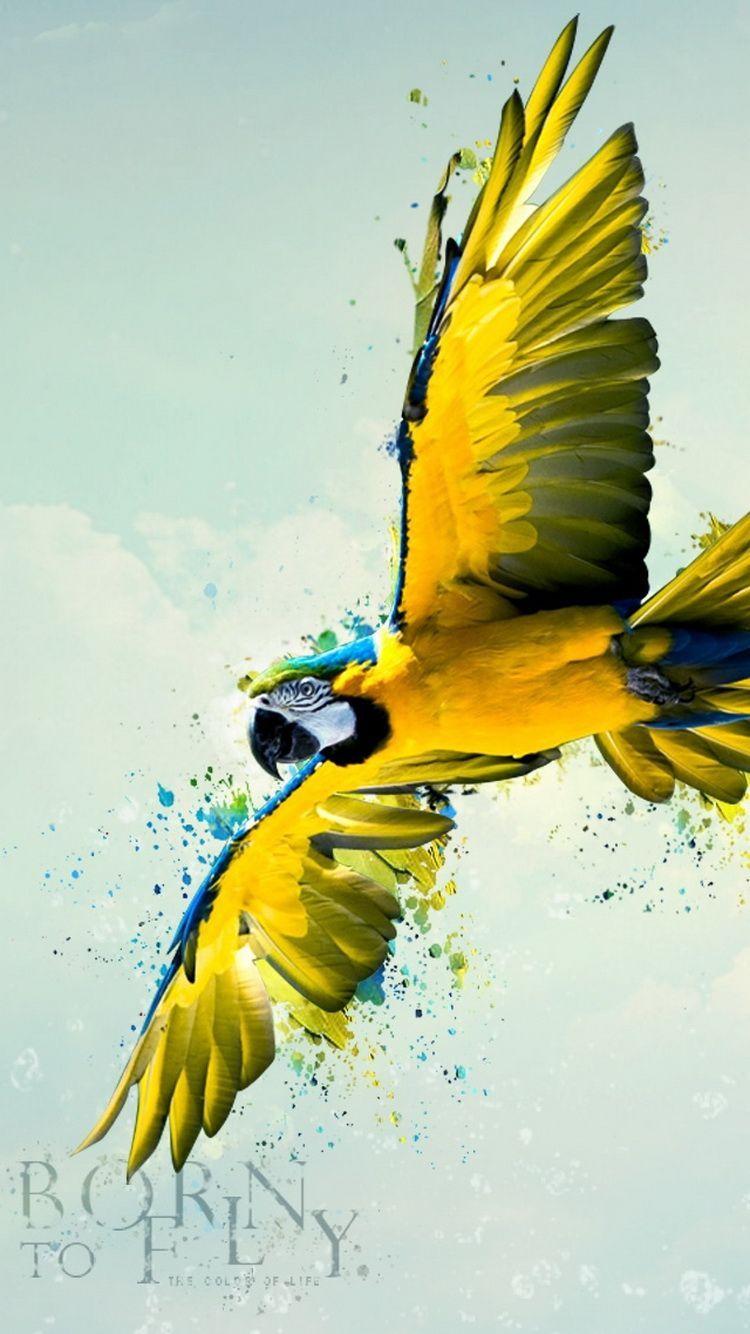 Parrot iPhone Wallpapers - Top Free Parrot iPhone Backgrounds ...