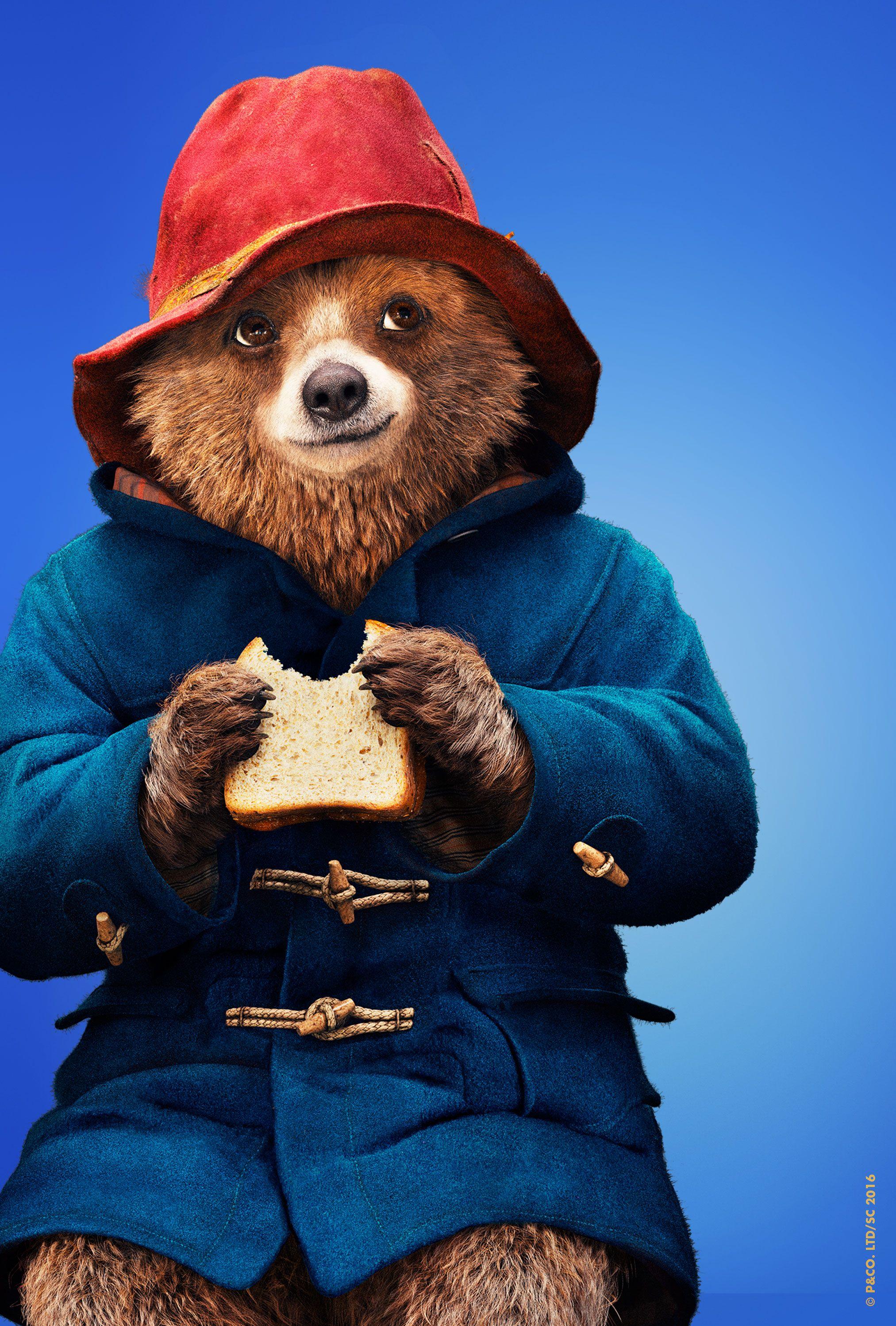 Paddington Bear Wallpapers - Top Free Paddington Bear Backgrounds ...