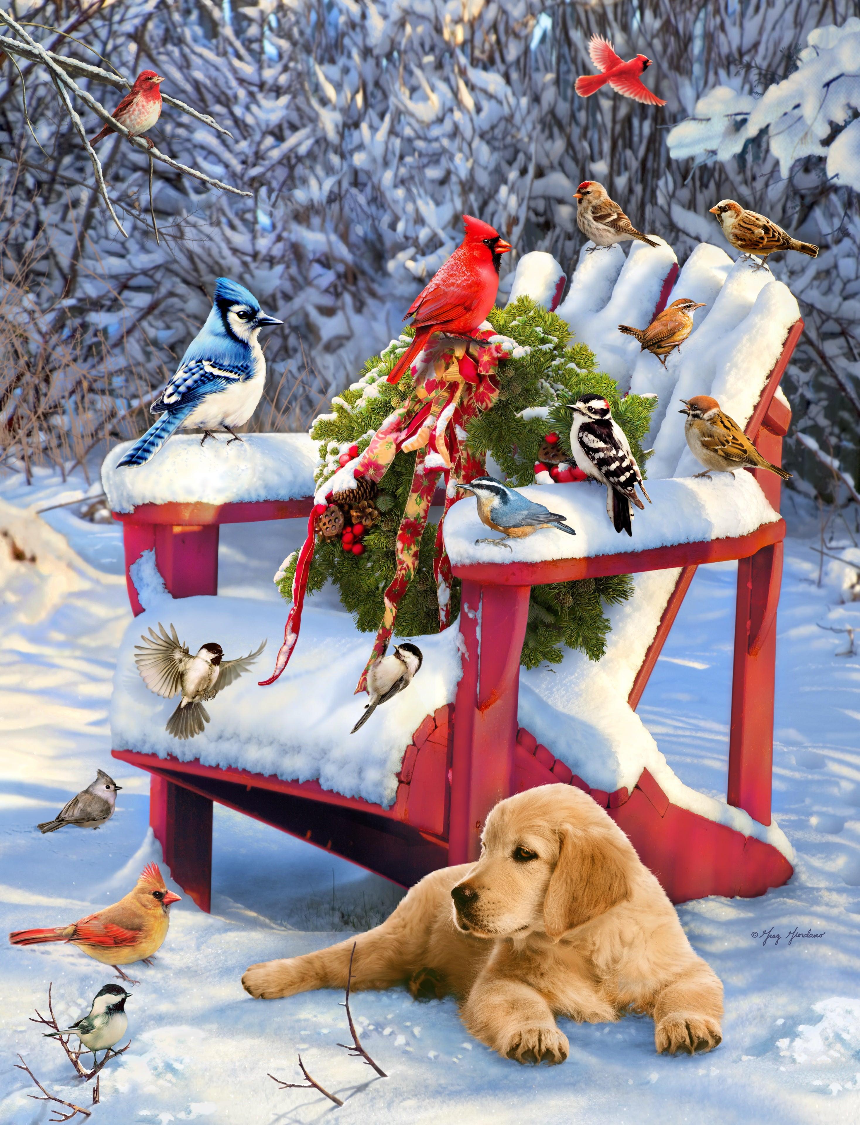 Christmas Bird Wallpapers - Top Free Christmas Bird Backgrounds ...