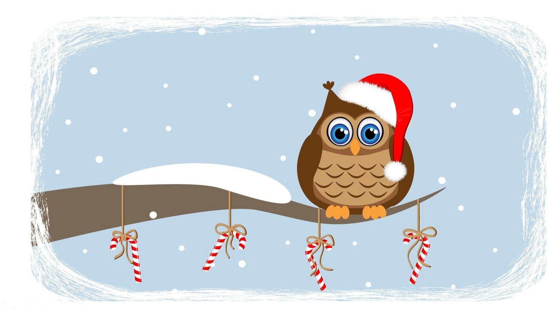 Christmas Bird Wallpapers - Top Free Christmas Bird Backgrounds ...