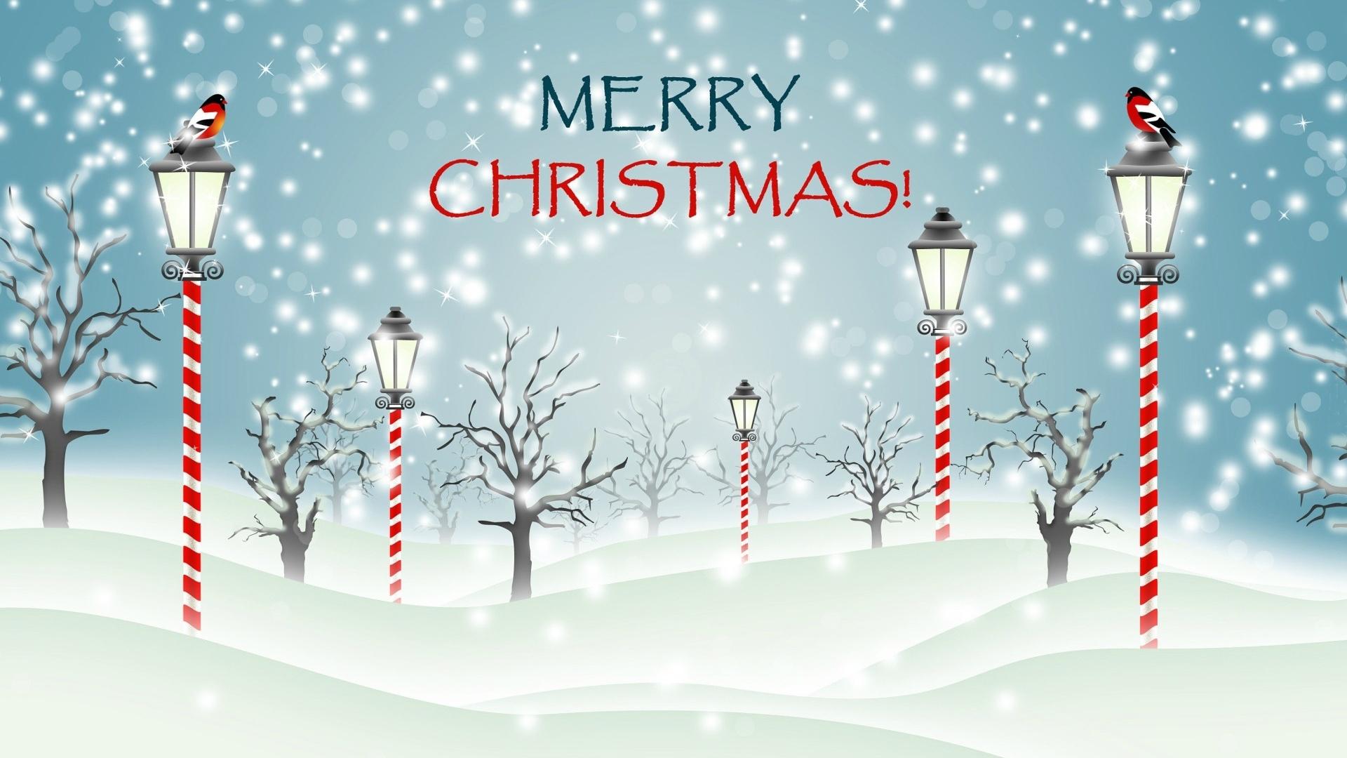 Christmas Bird Wallpapers - Top Free Christmas Bird Backgrounds ...