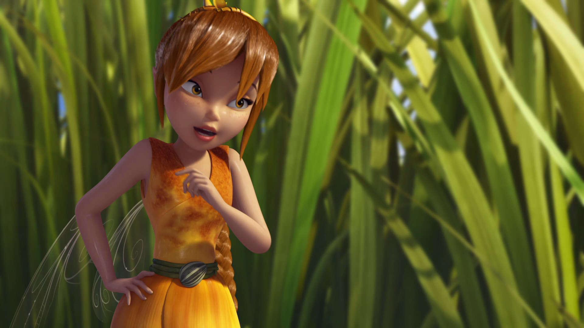 Pirate Fairy Wallpapers - Top Free Pirate Fairy Backgrounds ...