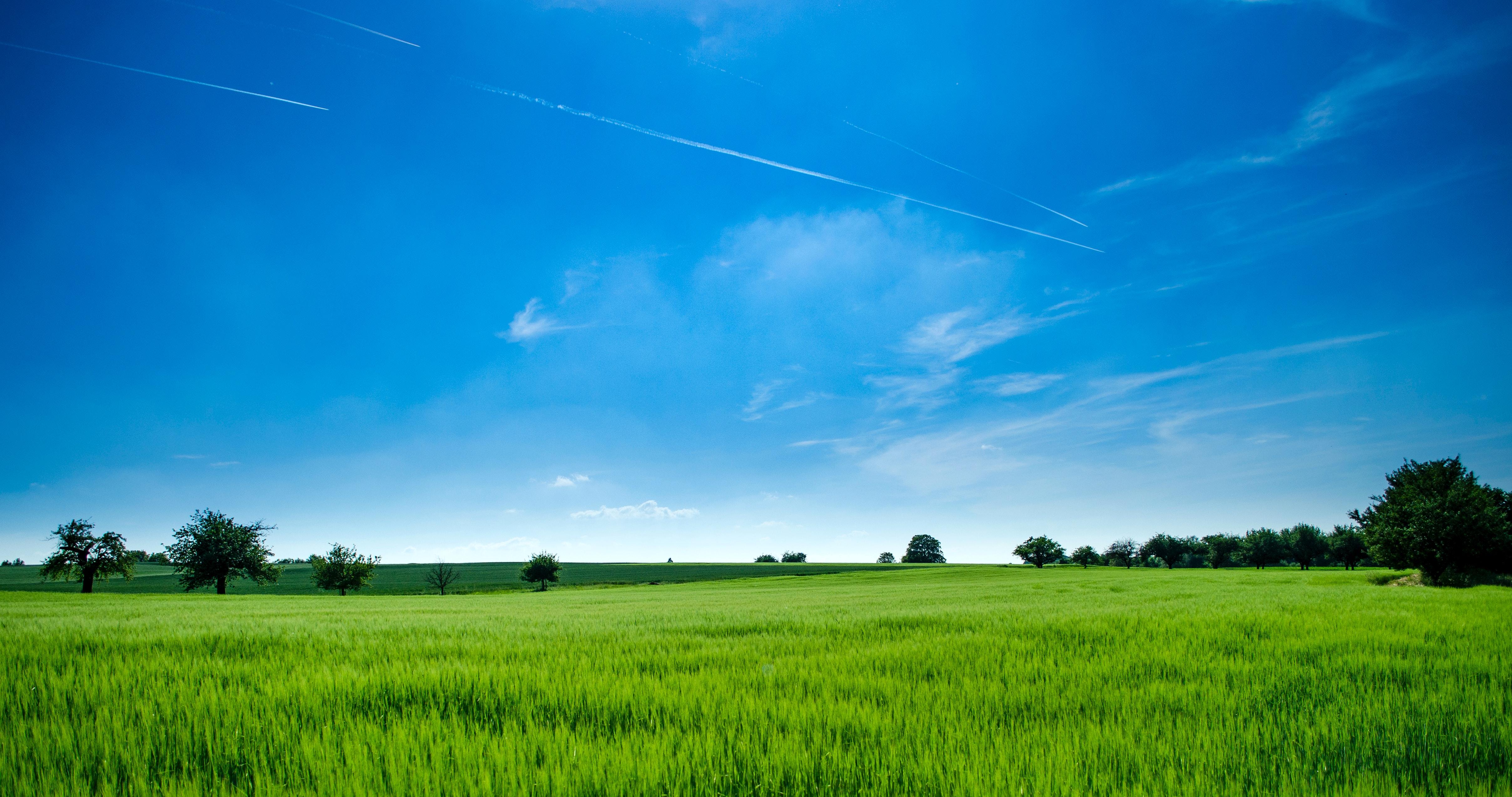 Grass and Sky Wallpapers - Top Free Grass and Sky Backgrounds ...