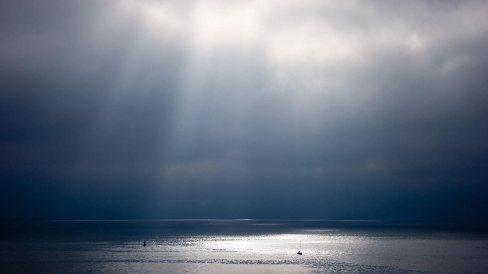 Seaman Wallpapers - Top Free Seaman Backgrounds - WallpaperAccess