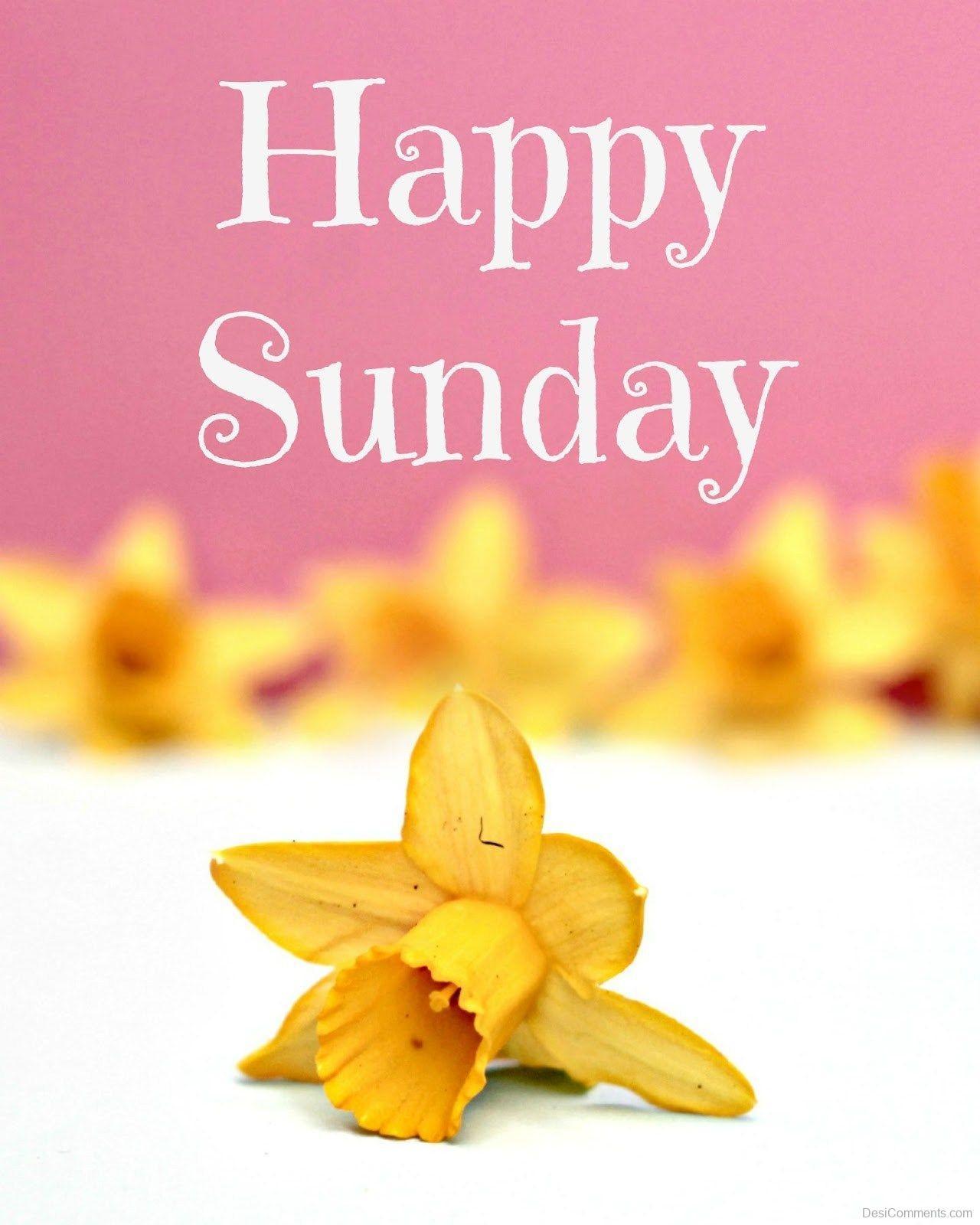 Happy Sunday Wallpapers - Top Free Happy Sunday Backgrounds ...