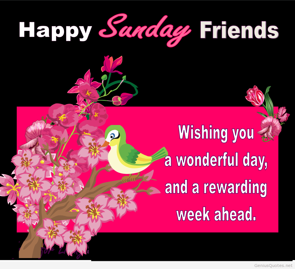 Happy Sunday Wallpapers - Top Free Happy Sunday Backgrounds ...