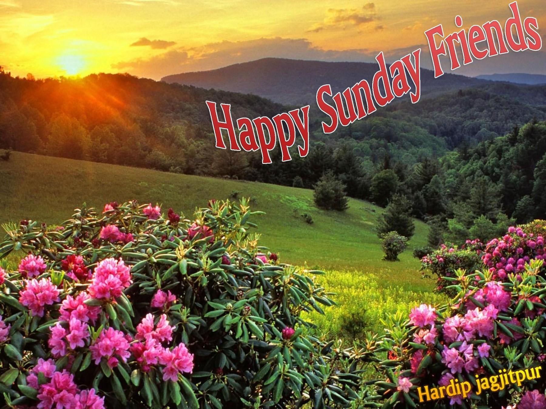 Happy Sunday Wallpapers - Top Free Happy Sunday Backgrounds ...