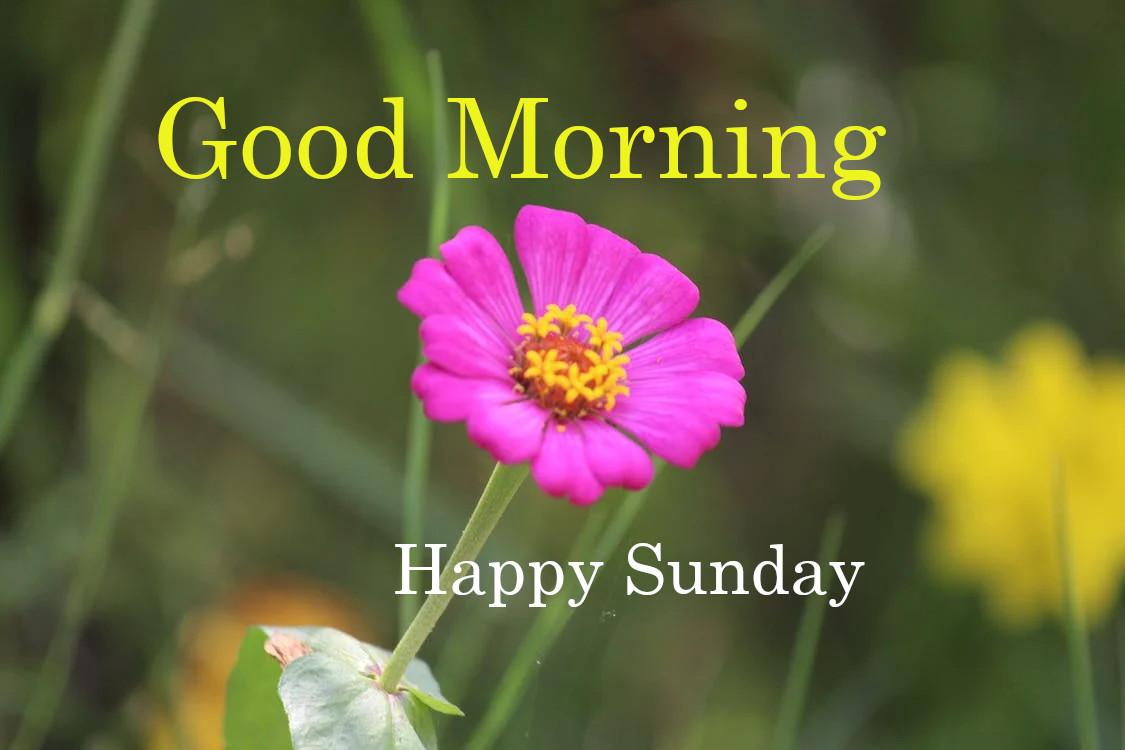 Happy Sunday Wallpapers - Top Free Happy Sunday Backgrounds ...