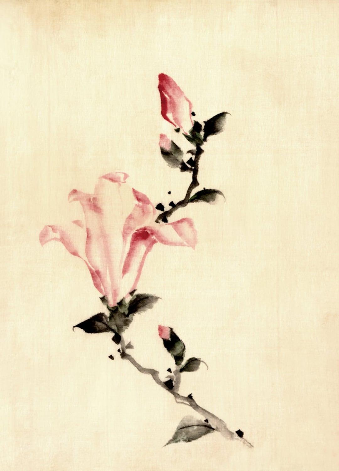 Japanese Art Pink Flower Wallpapers - Top Free Japanese Art Pink Flower ...